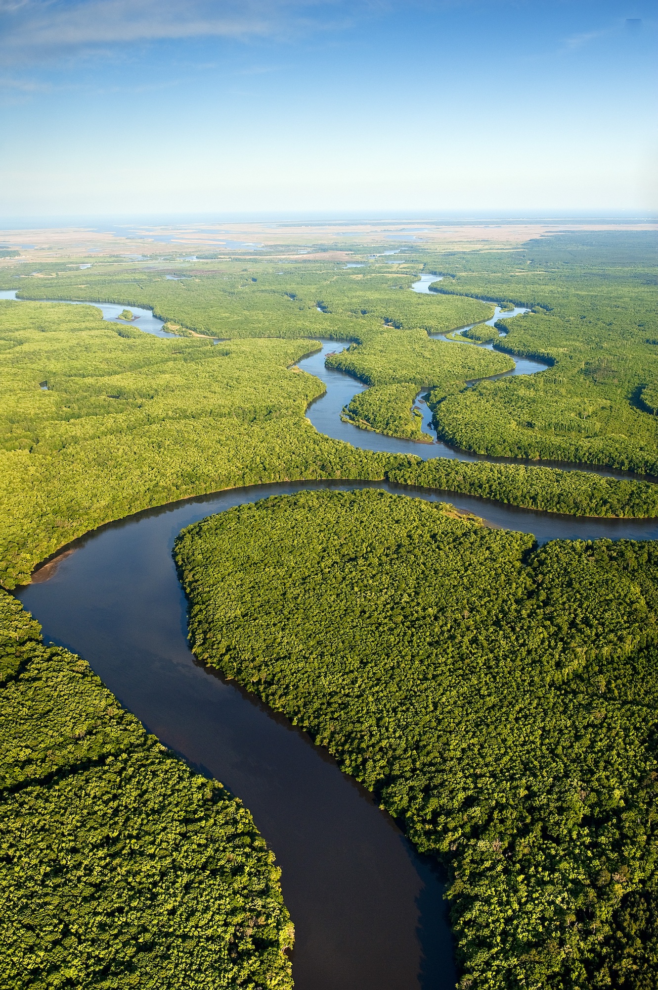 Marsh on the Move - Cool Green Science