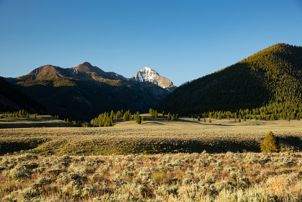 Six Spectacular Places to Experience the Sagebrush Sea - Cool Green Science