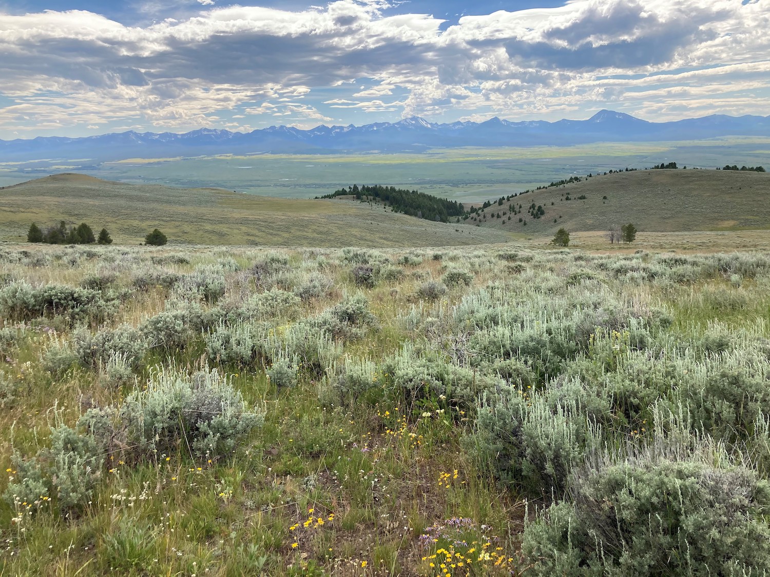 Six Spectacular Places to Experience the Sagebrush Sea - Cool Green Science