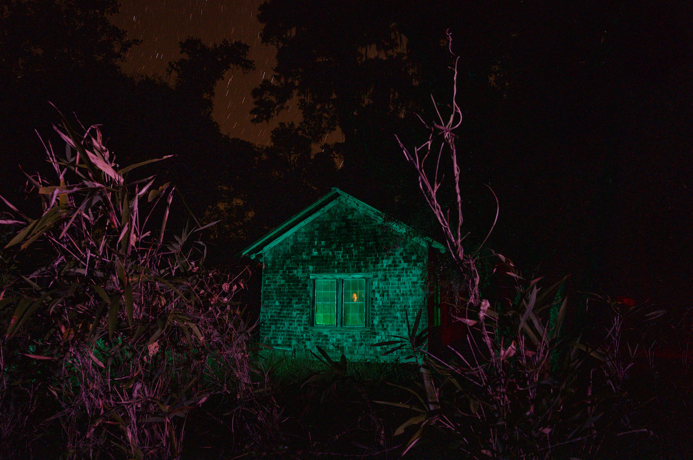 The Murky Challenges of Photographing a Historic Swamp - Cool Green Science