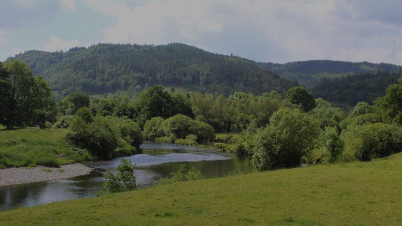 Blue Mussels & Water Pollution: Protecting Wales’s River Conwy - Cool ...
