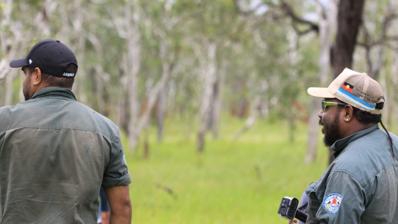 A Day in the Life of a Field Scientist: Cape York Edition - Cool Green ...