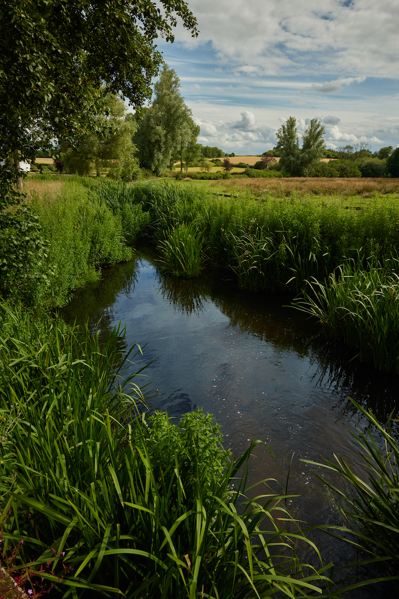 Inside the Clear Waters of England’s Ancient Chalk Streams - Cool Green ...