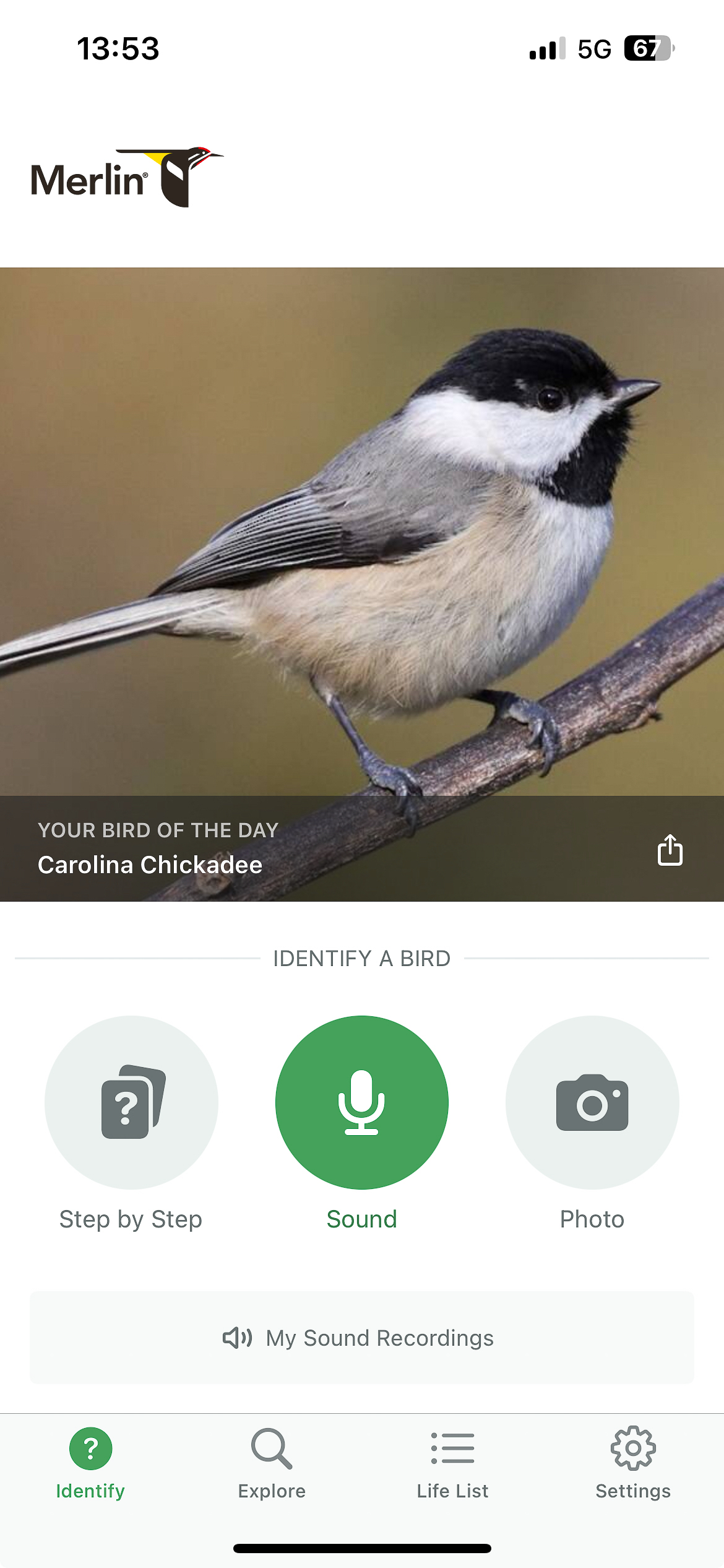 The Only Birding Apps You'll Ever Need - Cool Green Science