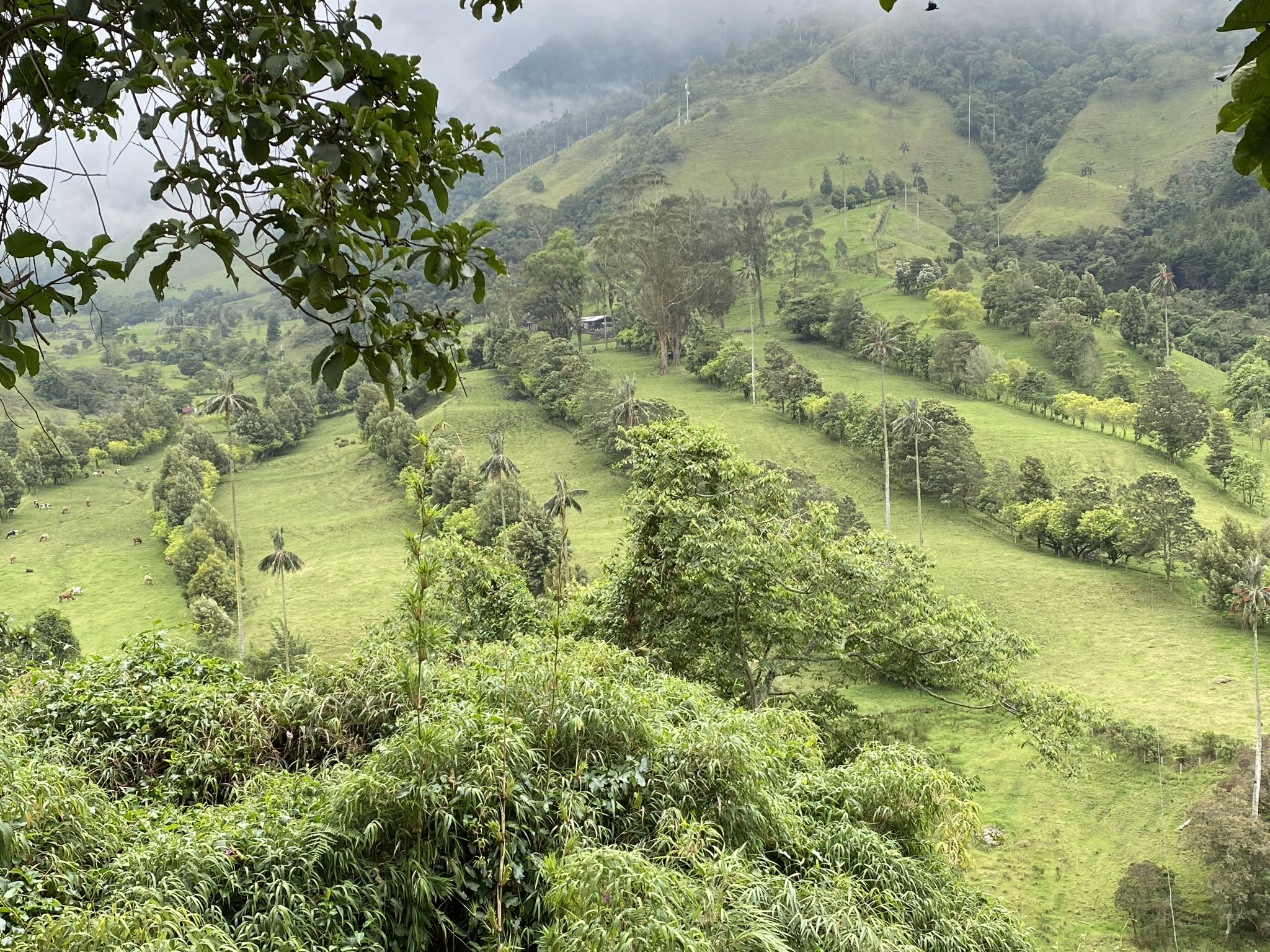 New Study Finds People and Nature Thrive With Diversified Farming ...