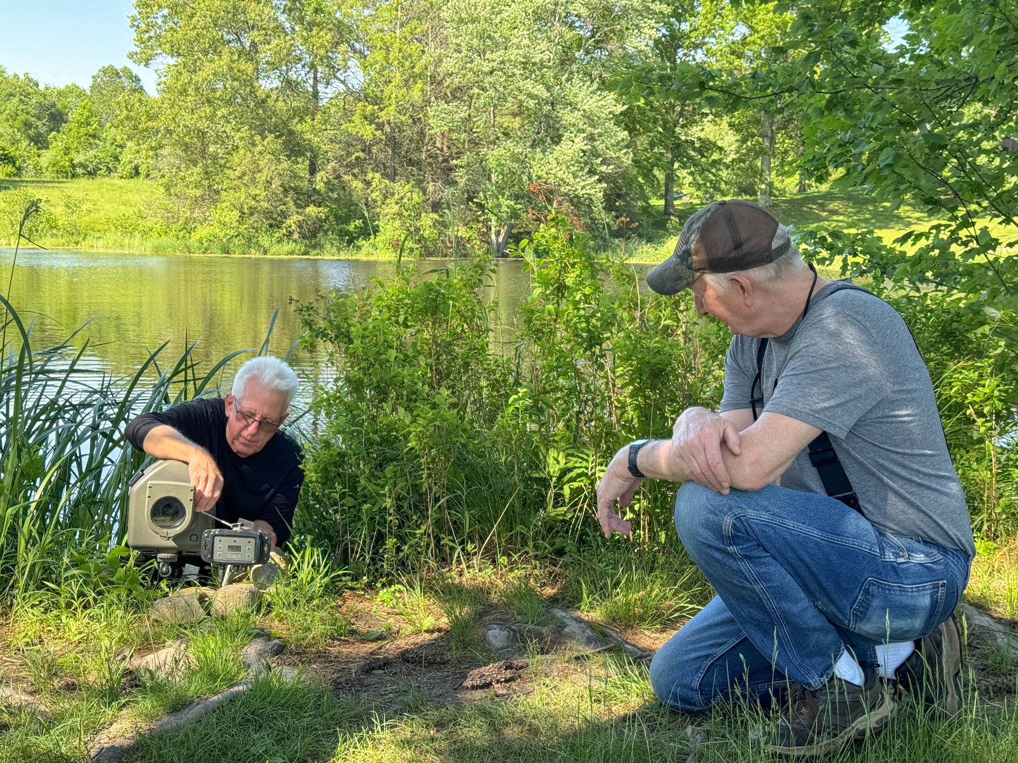 New Jersey Cats Caught on Camera - Cool Green Science
