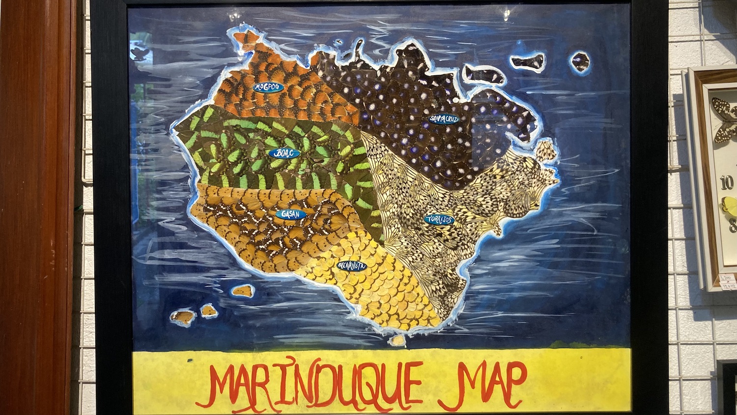 The Butterflies of Marinduque: Small Wings, Big Changes - Cool Green ...