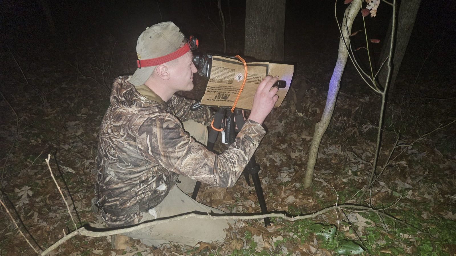 When Deer Marks Glow in the Dark? - Cool Green Science