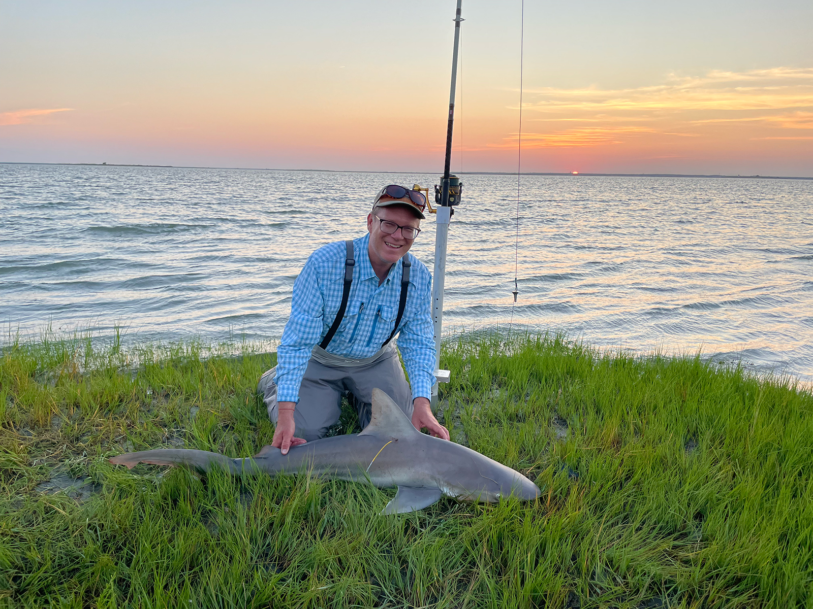 Catching Sharks for Science - Cool Green Science